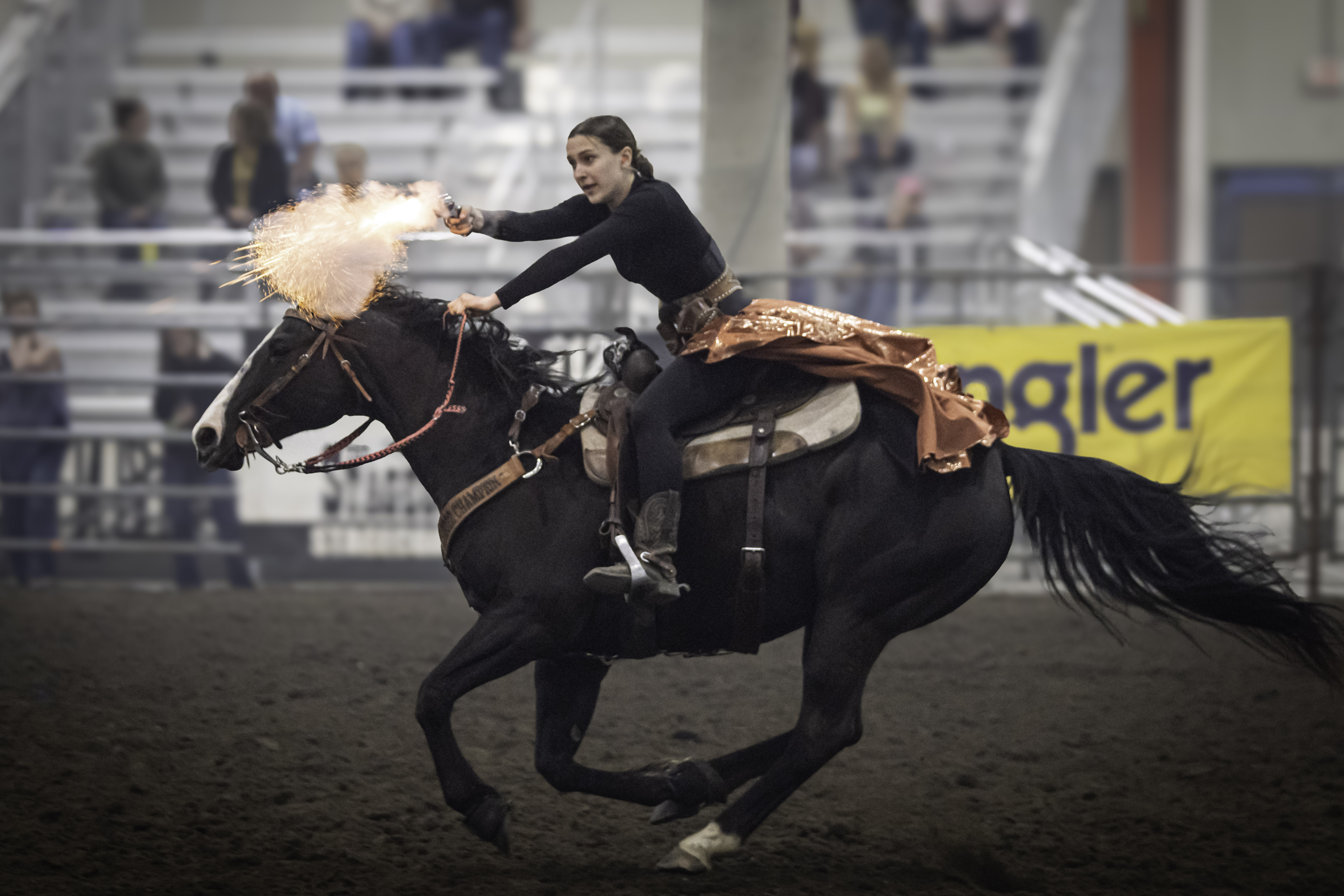 Gallery Page: Equestrian – Chuck Spindler Photography